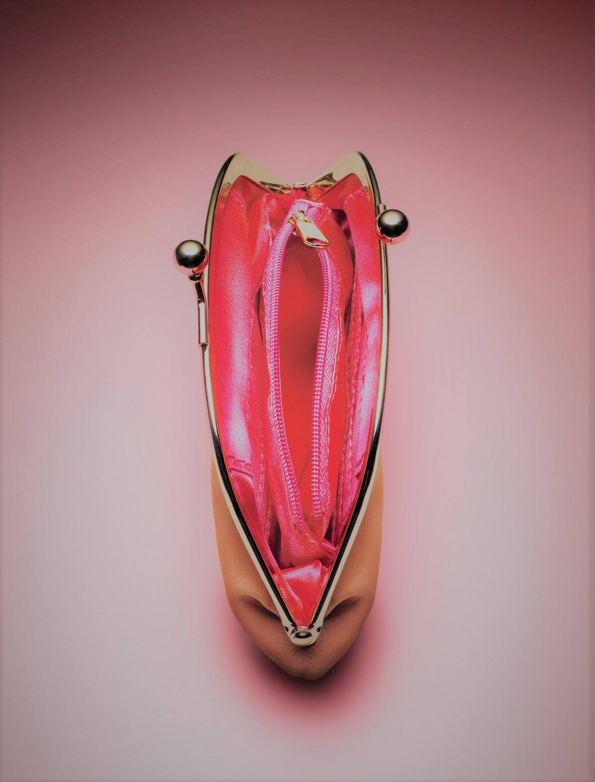 Vulvar Problem 陰唇問題 | 私密綜合治療 | 女醫生操作 | INTIMAGE | 中環 Central | 香港Hong Kong